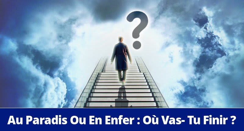 Au Paradis ou En Enfer : Où Vas-Tu Finir ? - Opossum Sauce