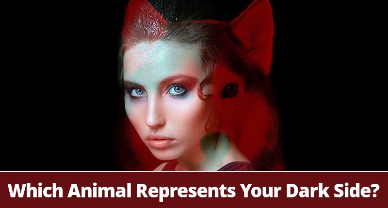 Which Animal Represents Your Dark Side? - Opossum Sauce