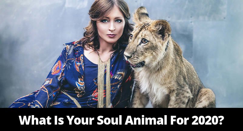 What Is Your Soul Animal For 2020? - Opossum Sauce